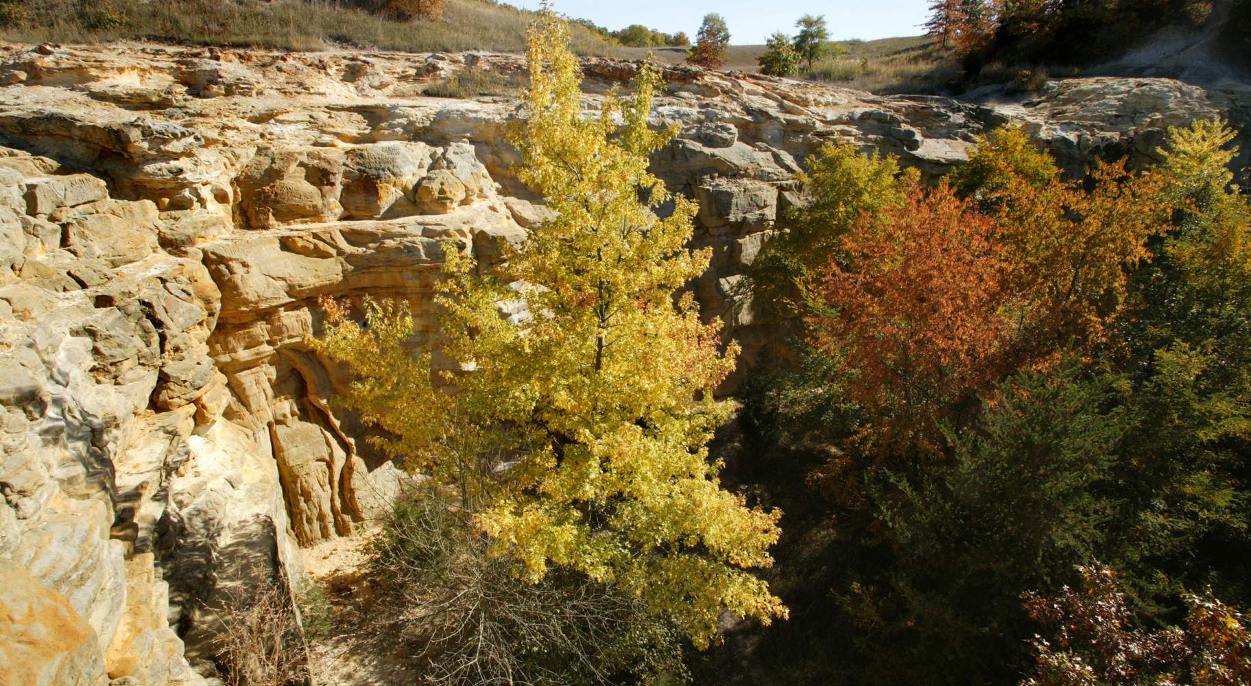 Buffalo Rock State Park : Votre guide pour profiter de l'Illinois